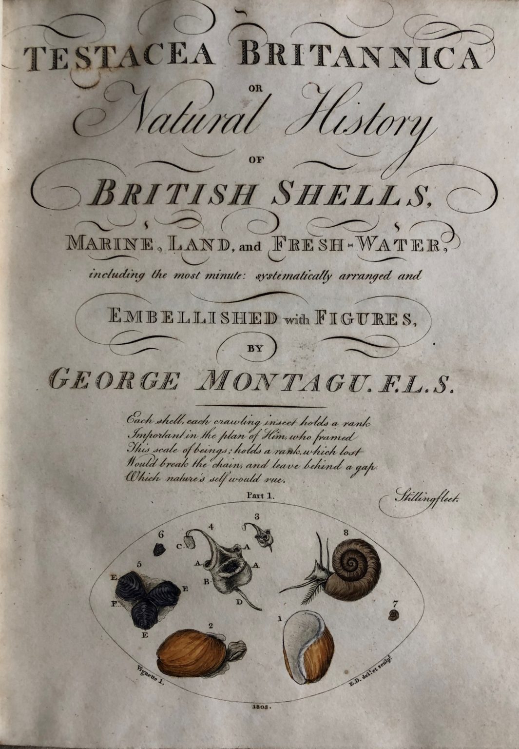 An intricate and arduous undertaking: George Montagu (1753-1815) and ...