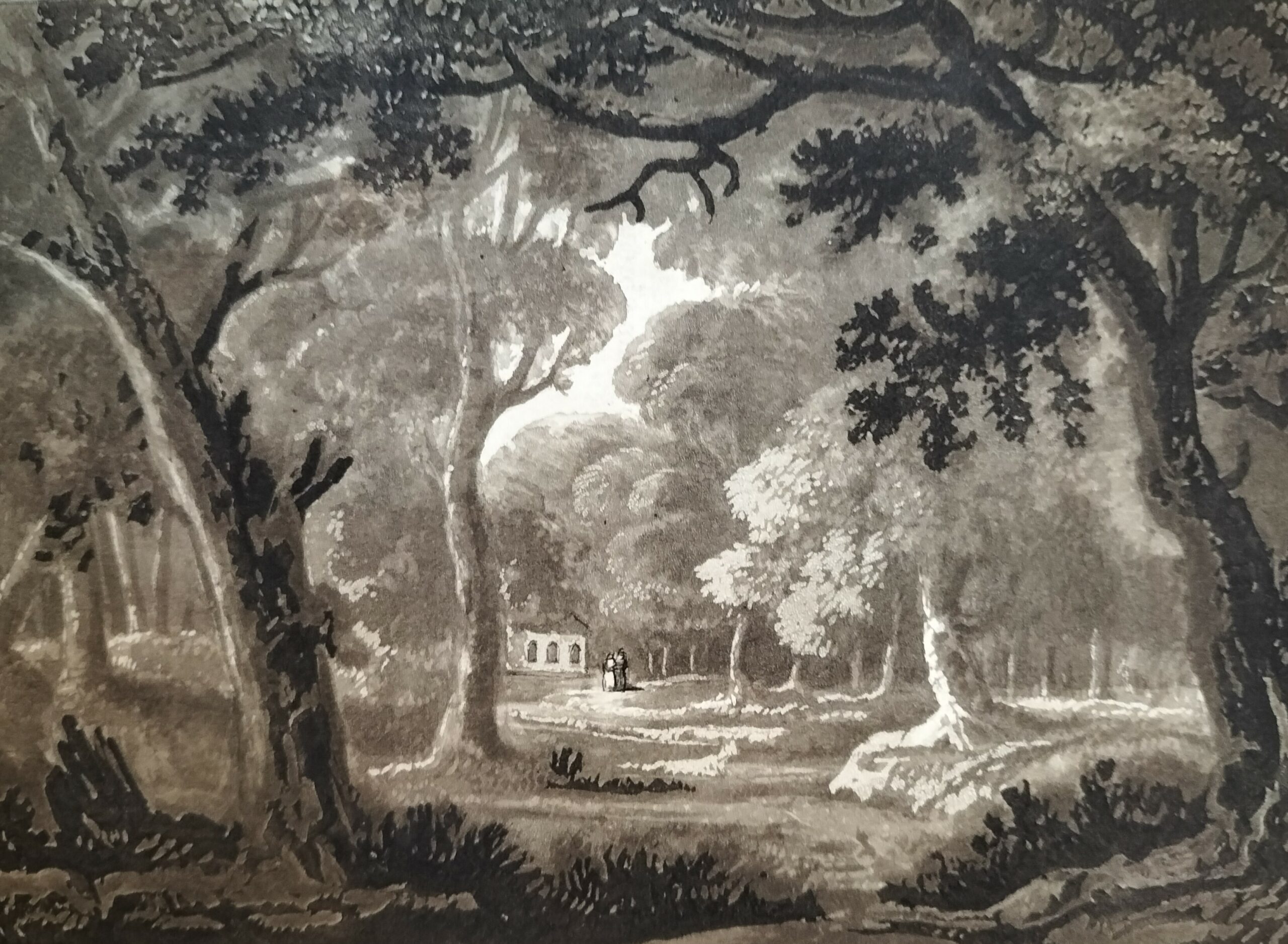 Bowdler's defence of single women - The Devon and Exeter Institution