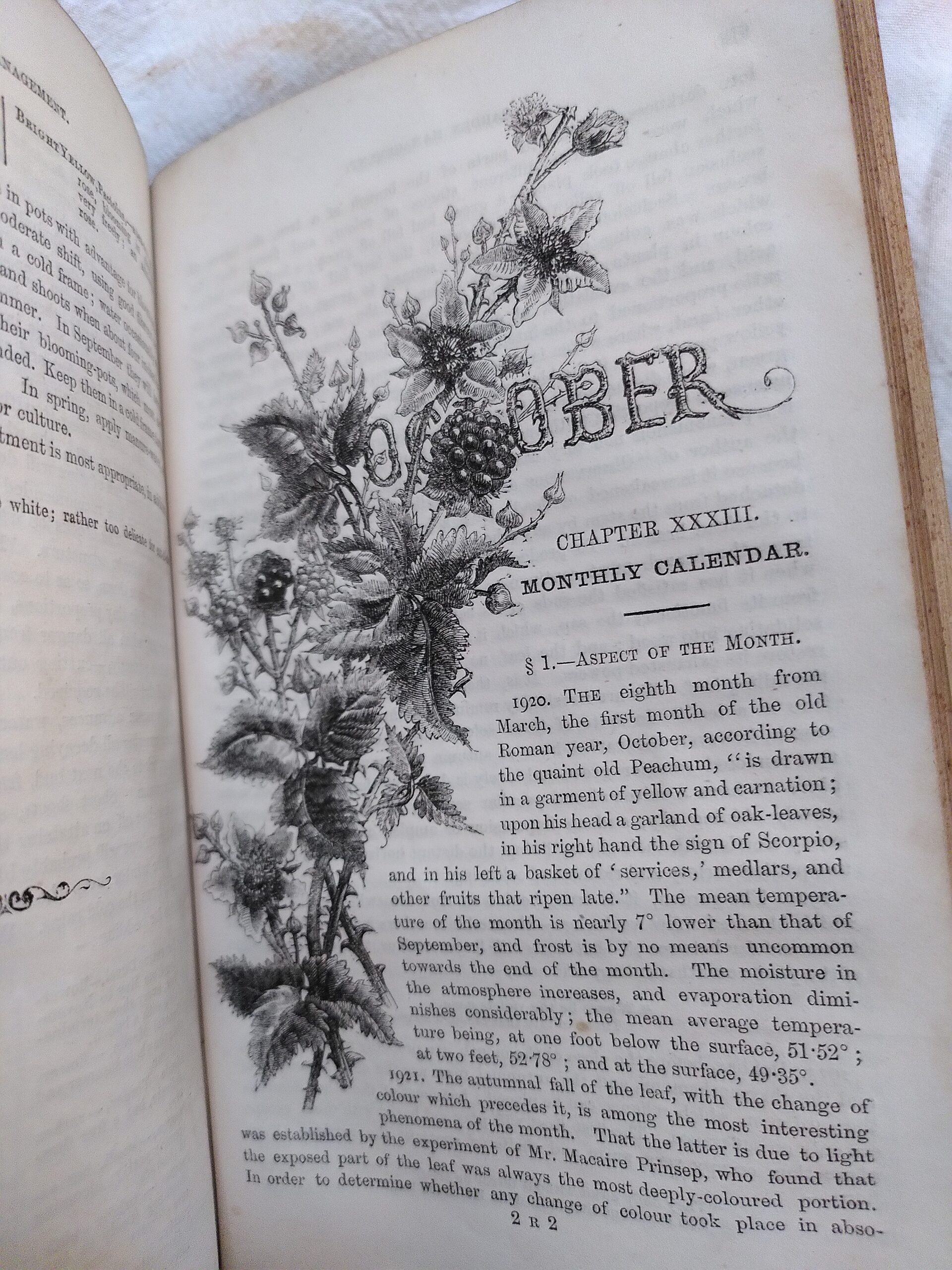 Samuel Orchart Beeton, The book of garden management : comprising ...