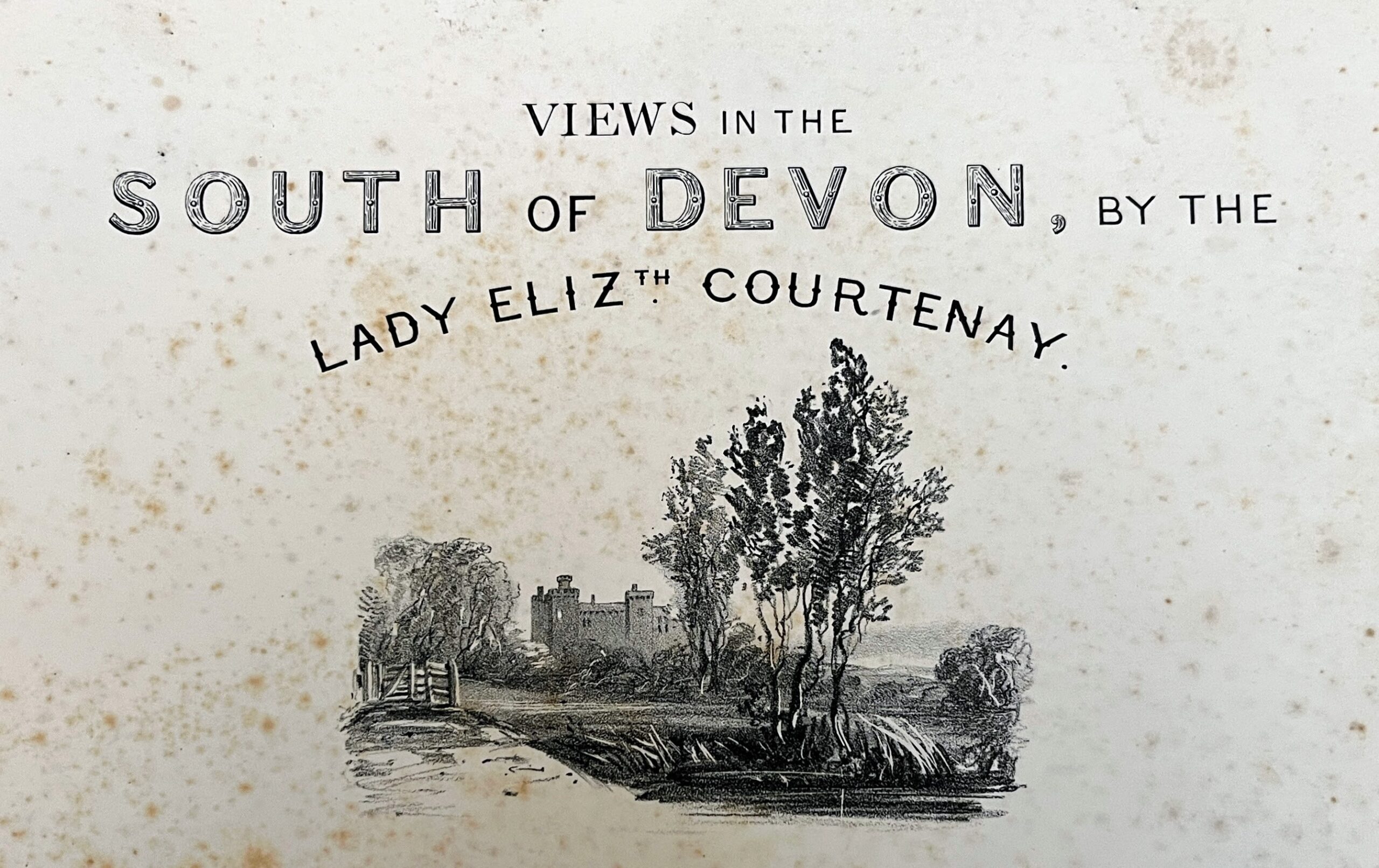 The mystery of the Lady and the missing plates - The Devon and Exeter ...